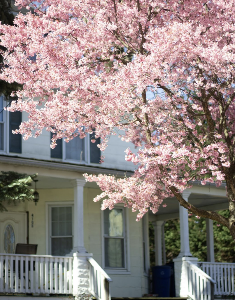 How to Plan for a Move During the Busy Spring Season - Winter Moving ...